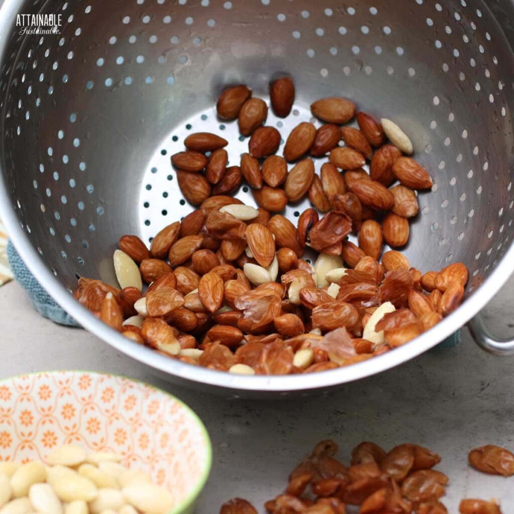 The Easiest Method for Blanching Almonds - Attainable Sustainable®
