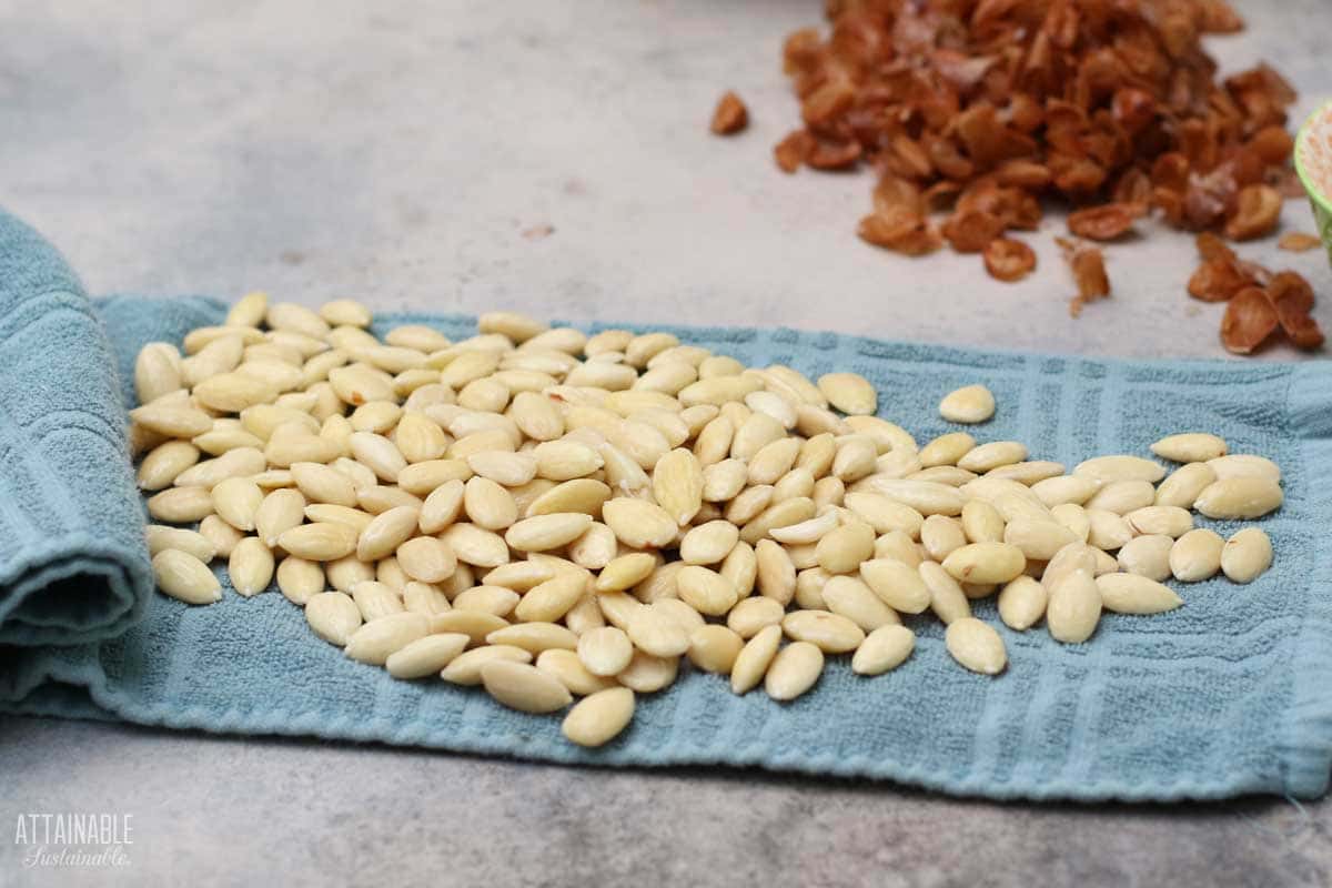 The Easiest Method for Blanching Almonds - Attainable Sustainable®