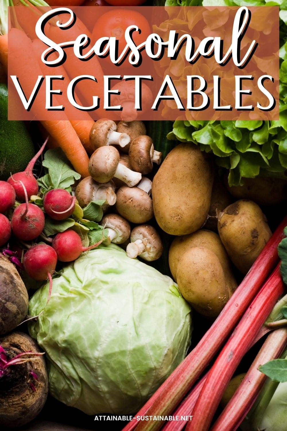 Vegetables in Season - What's Ripe When - Attainable Sustainable®