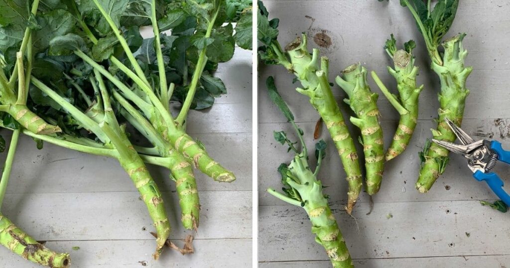 How to Use Edible Broccoli Stems (aka Stalks) - Attainable Sustainable®