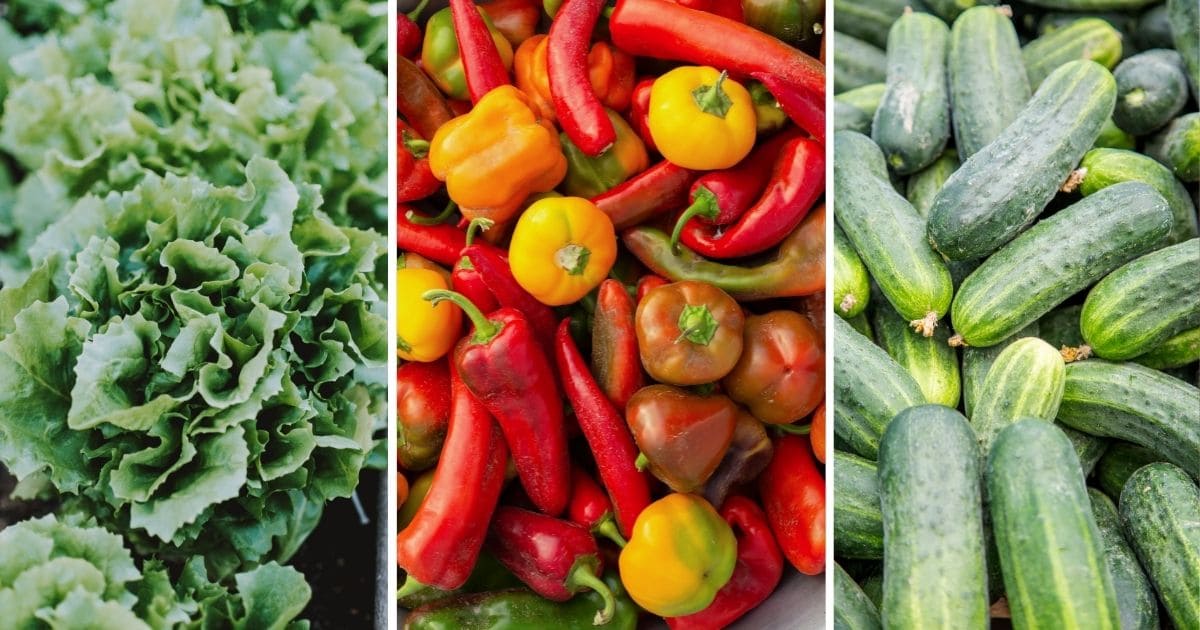 Vegetables in Season - What's Ripe When - Attainable Sustainable®