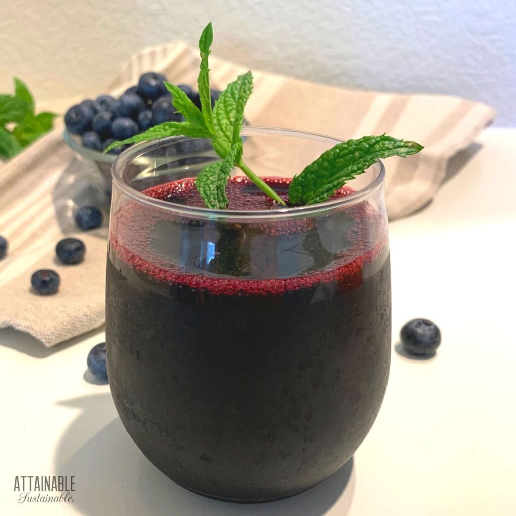How to Make Fresh Blueberry Juice - Attainable Sustainable®