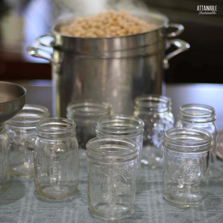 Canning Dried Beans: Planning Ahead for Busy Weeknight Dinners