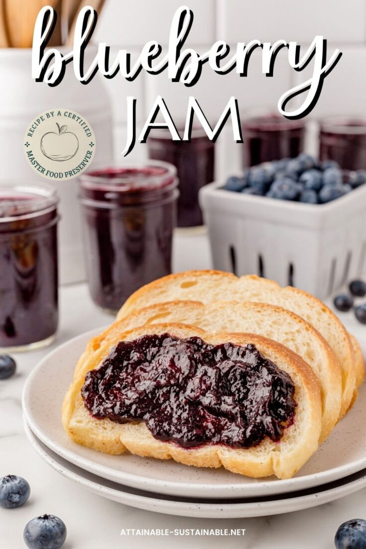 Blueberry Jam Recipe for Canning - Attainable Sustainable®