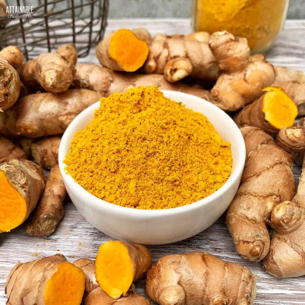 Make Turmeric Powder at Home - Attainable Sustainable®