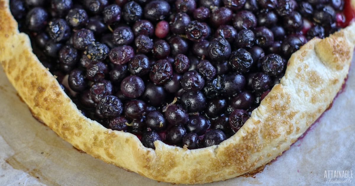 Blueberry Galette with Goat Cheese - Attainable Sustainable®