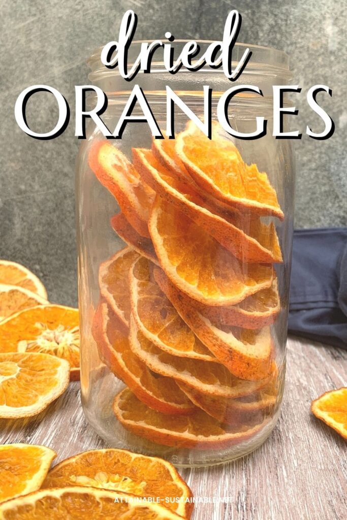 How to Make Dried Orange Slices: 4 Methods - Attainable Sustainable®