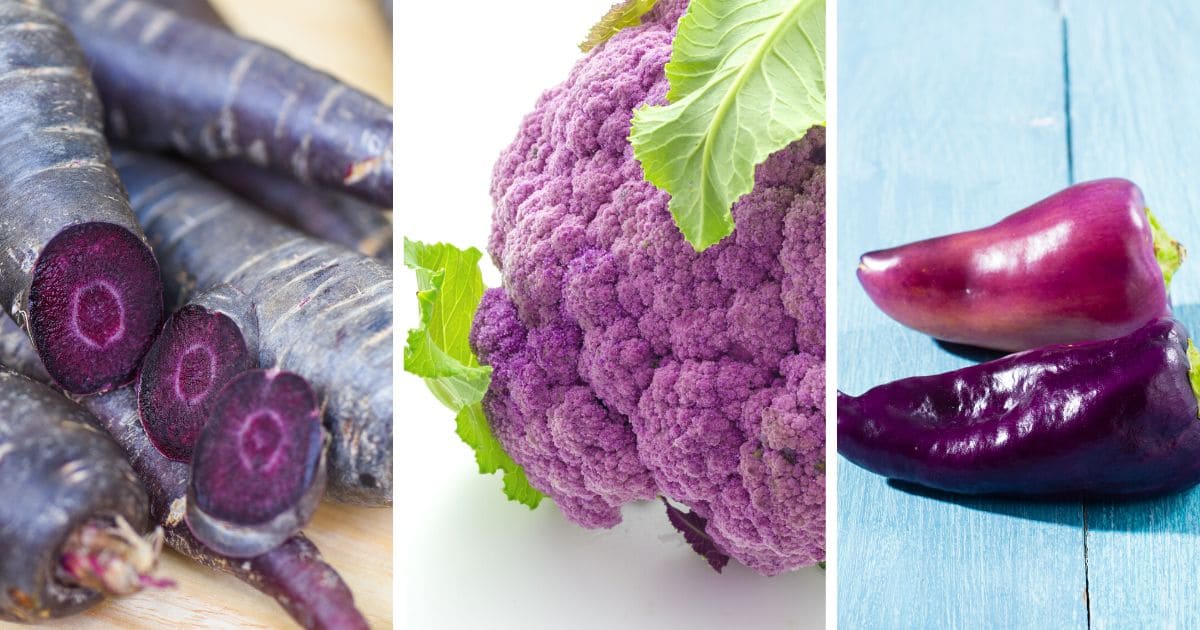 25+ Purple Vegetables to Enliven Your Table - Attainable Sustainable®