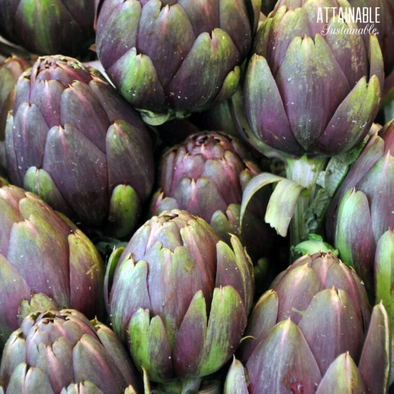 25+ Purple Vegetables to Enliven Your Table - Attainable Sustainable®