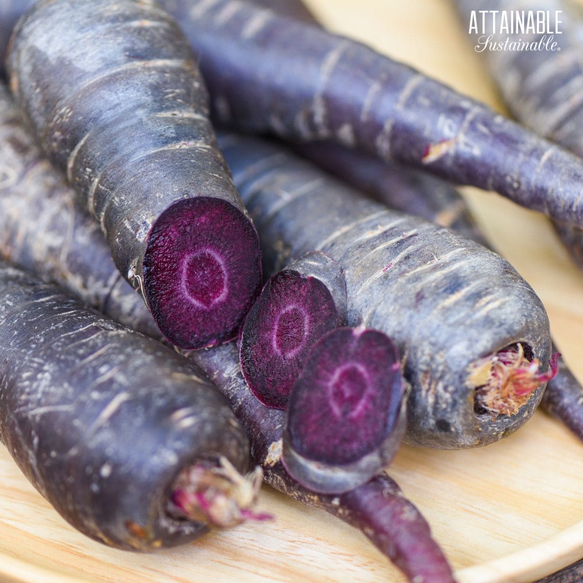 Carrot Growing 101: How to Grow Carrots From Seed to Harvest ...