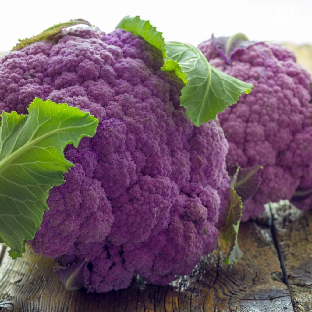 25+ Purple Vegetables to Enliven Your Table - Attainable Sustainable®