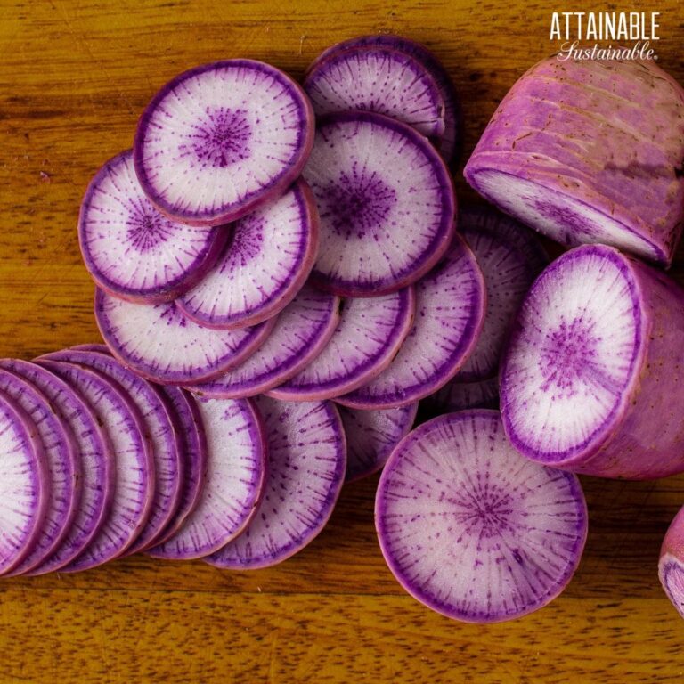 25+ Purple Vegetables to Enliven Your Table - Attainable Sustainable®