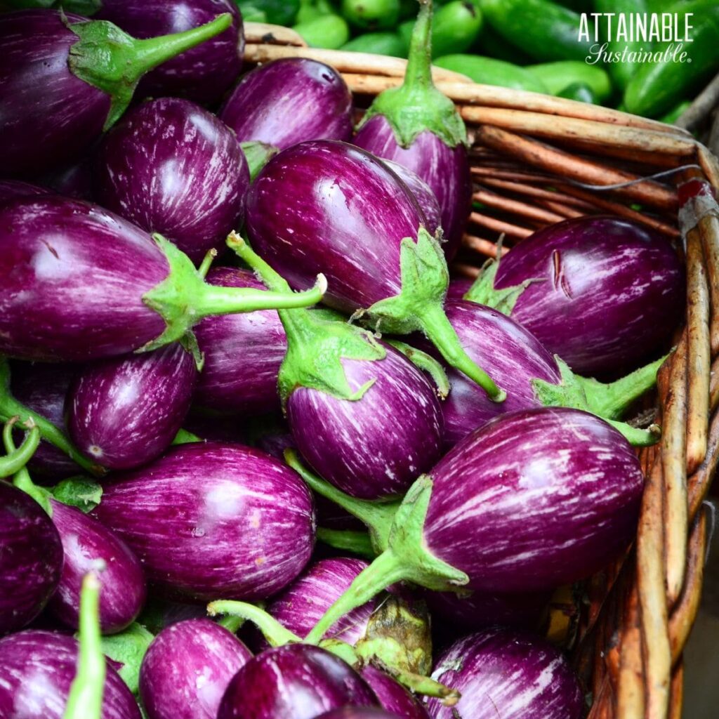 25+ Purple Vegetables to Enliven Your Table - Attainable Sustainable®
