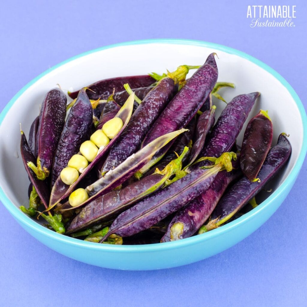 25+ Purple Vegetables to Enliven Your Table - Attainable Sustainable®