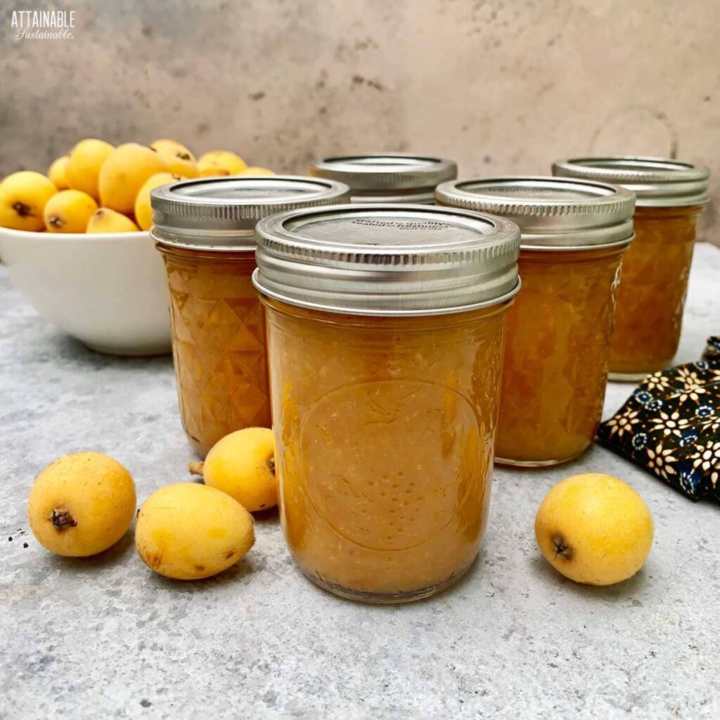 How to Make Loquat Jam (Canning Recipe) - Attainable Sustainable®