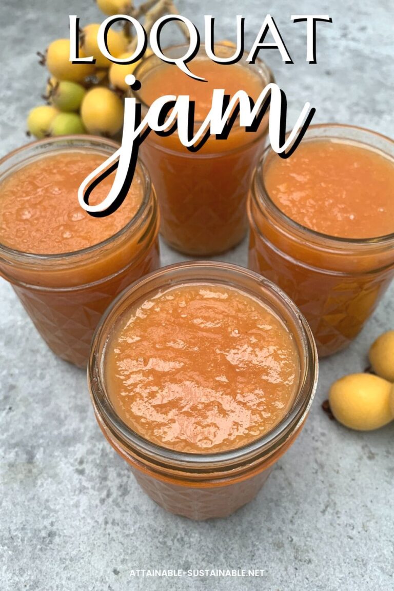 How to Make Loquat Jam (Canning Recipe) - Attainable Sustainable®