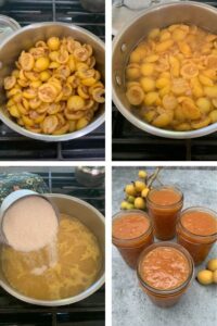 How to Make Loquat Jam (Canning Recipe) - Attainable Sustainable®
