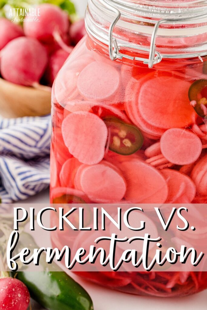 Pickling vs. Fermenting: What's the Difference? - Attainable Sustainable®