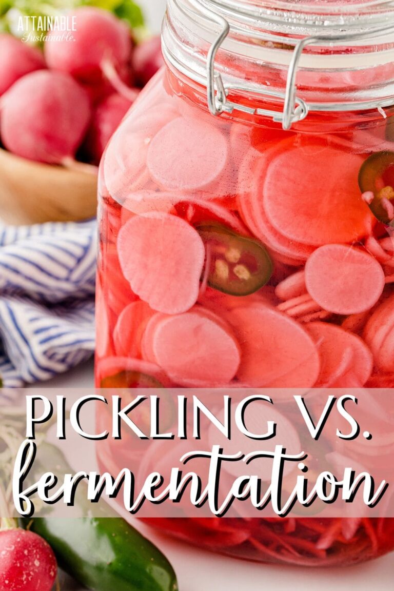 Pickling vs. Fermenting: What's the Difference? - Attainable Sustainable®