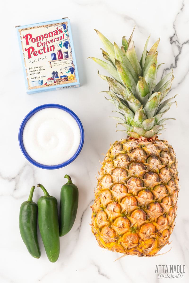 Pineapple Jalapeño Jam Recipe - Attainable Sustainable®