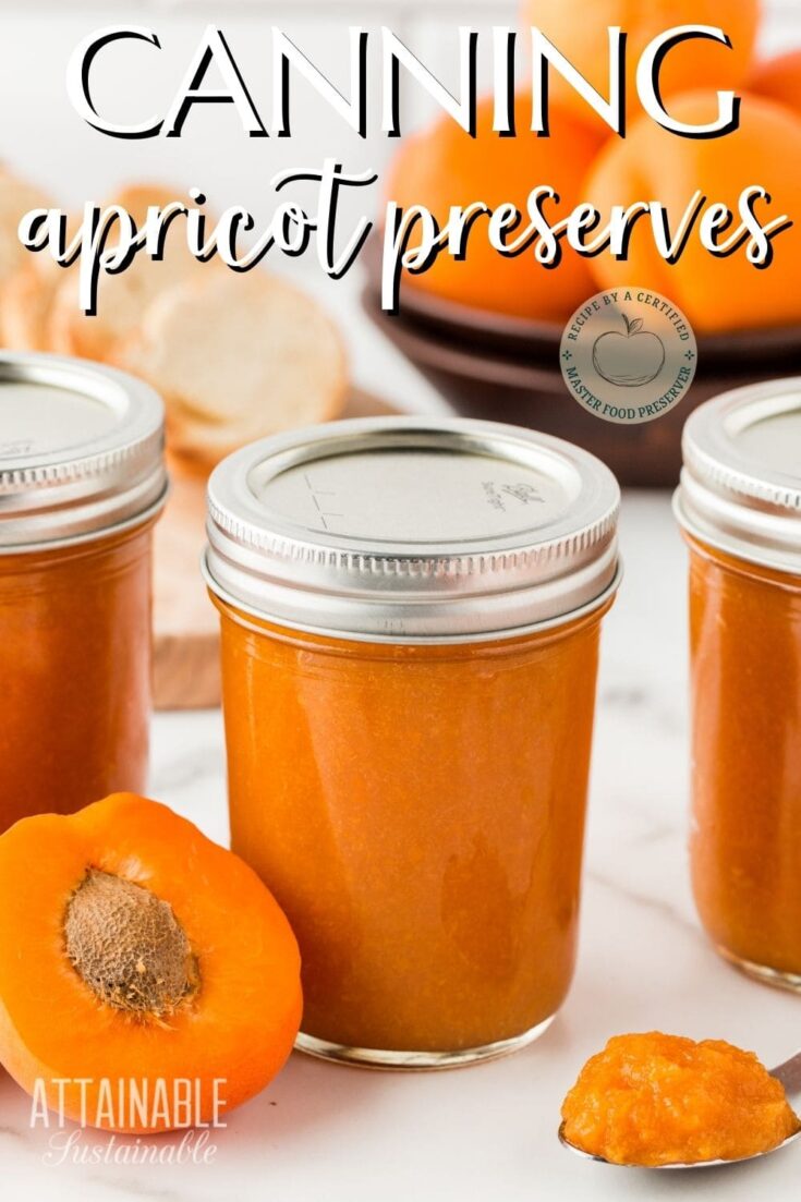 Easy Lower Sugar Apricot Preserves - Attainable Sustainable®