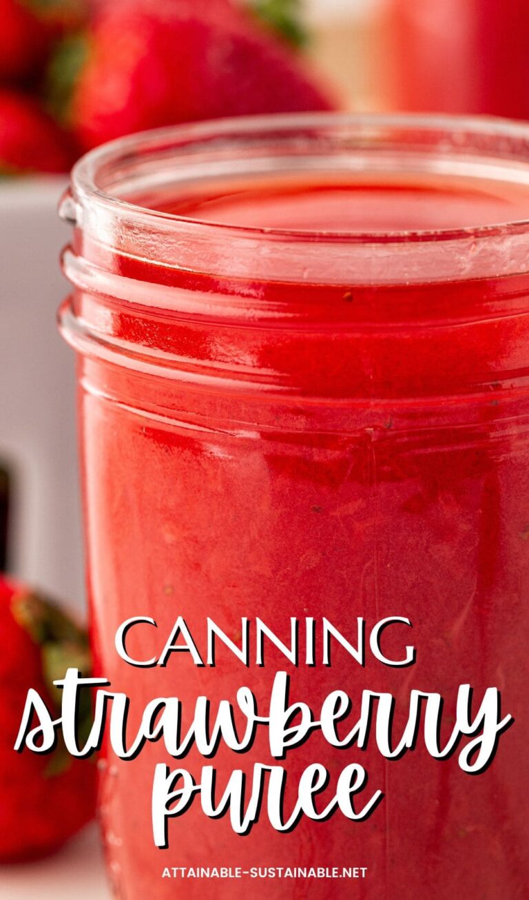 How to Make Strawberry Puree (with Canning Instructions) - Attainable ...