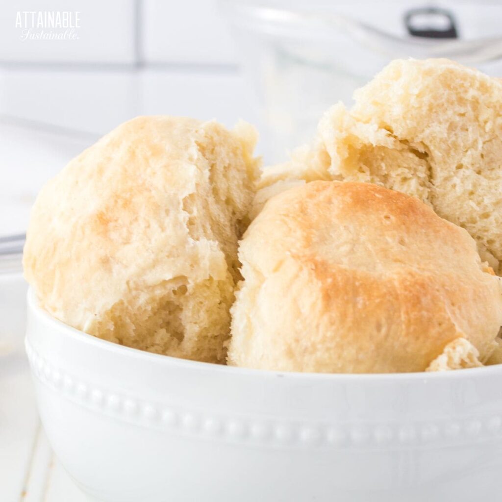 Easy Light and Fluffy Homemade Dinner Rolls - Attainable Sustainable®