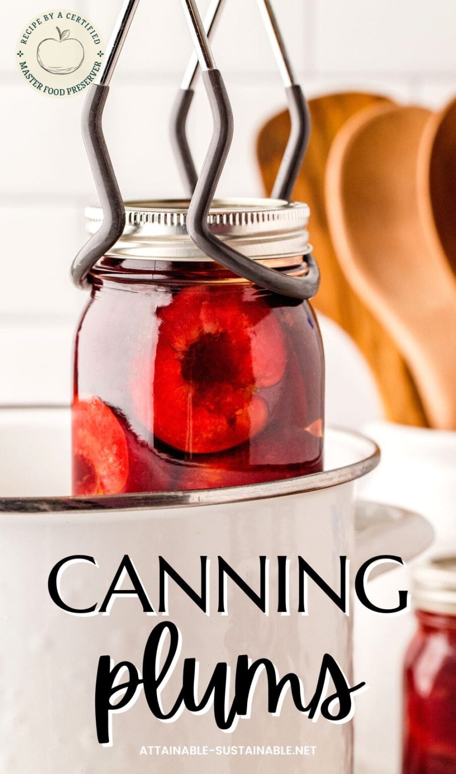 Canning Plums (Water Bath Recipe) - Attainable Sustainable®