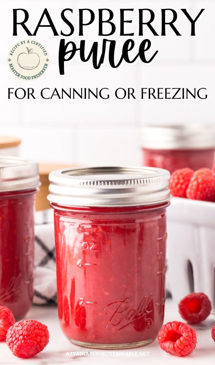 How to Make Raspberry Puree (Fresh, Freezing, or Canning) - Attainable ...