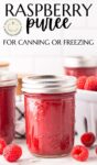 How to Make Raspberry Puree (Fresh, Freezing, or Canning) - Attainable ...