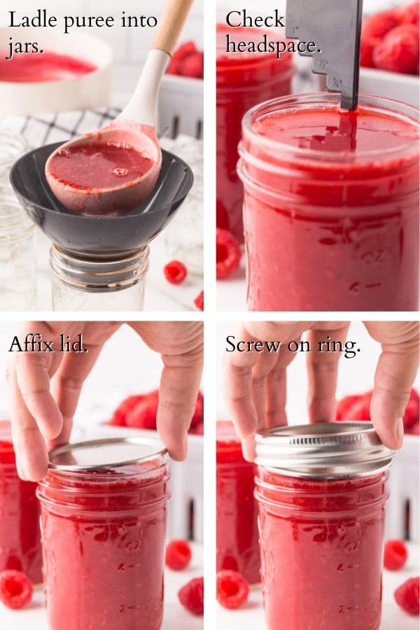 How to Make Raspberry Puree (Fresh, Freezing, or Canning) - Attainable ...